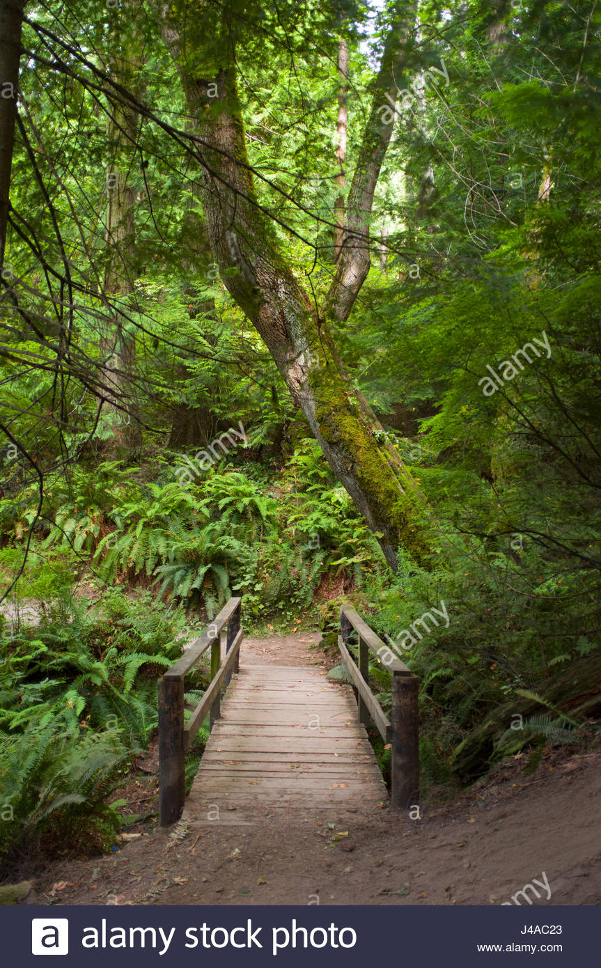 Chuckanut Drive Washington High Resolution Stock Photography and Images ...
