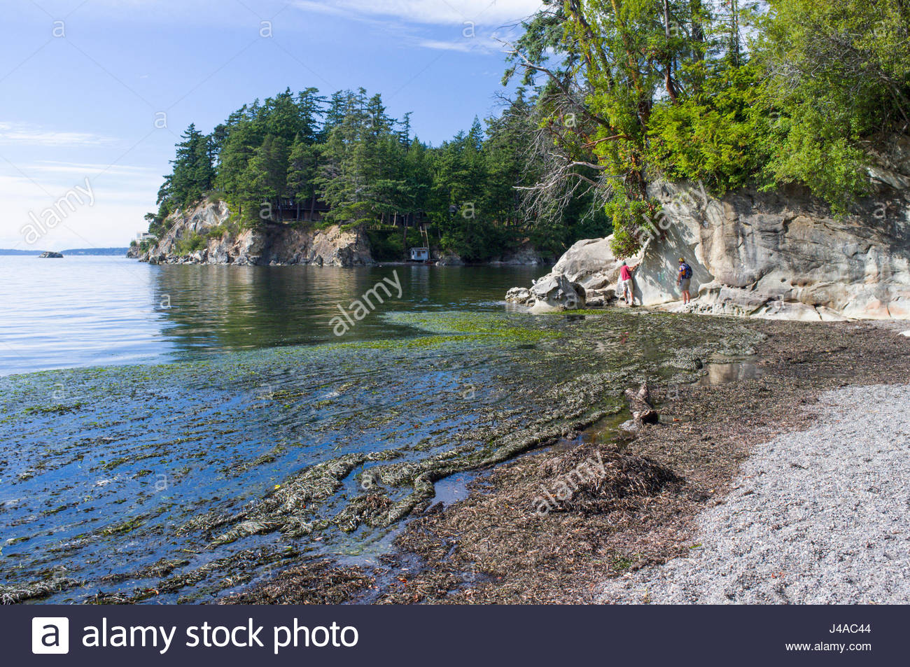 Chuckanut Drive Washington High Resolution Stock Photography and Images ...