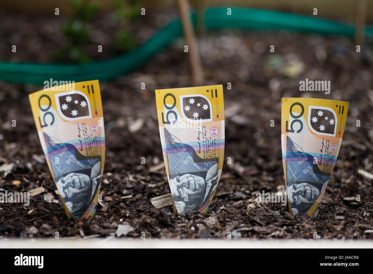 Australian money notes hi-res stock photography and images - Alamy