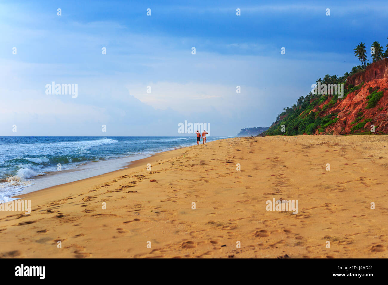 Tropical landscape with blue sky and palm trees. Beautiful beach in ...
