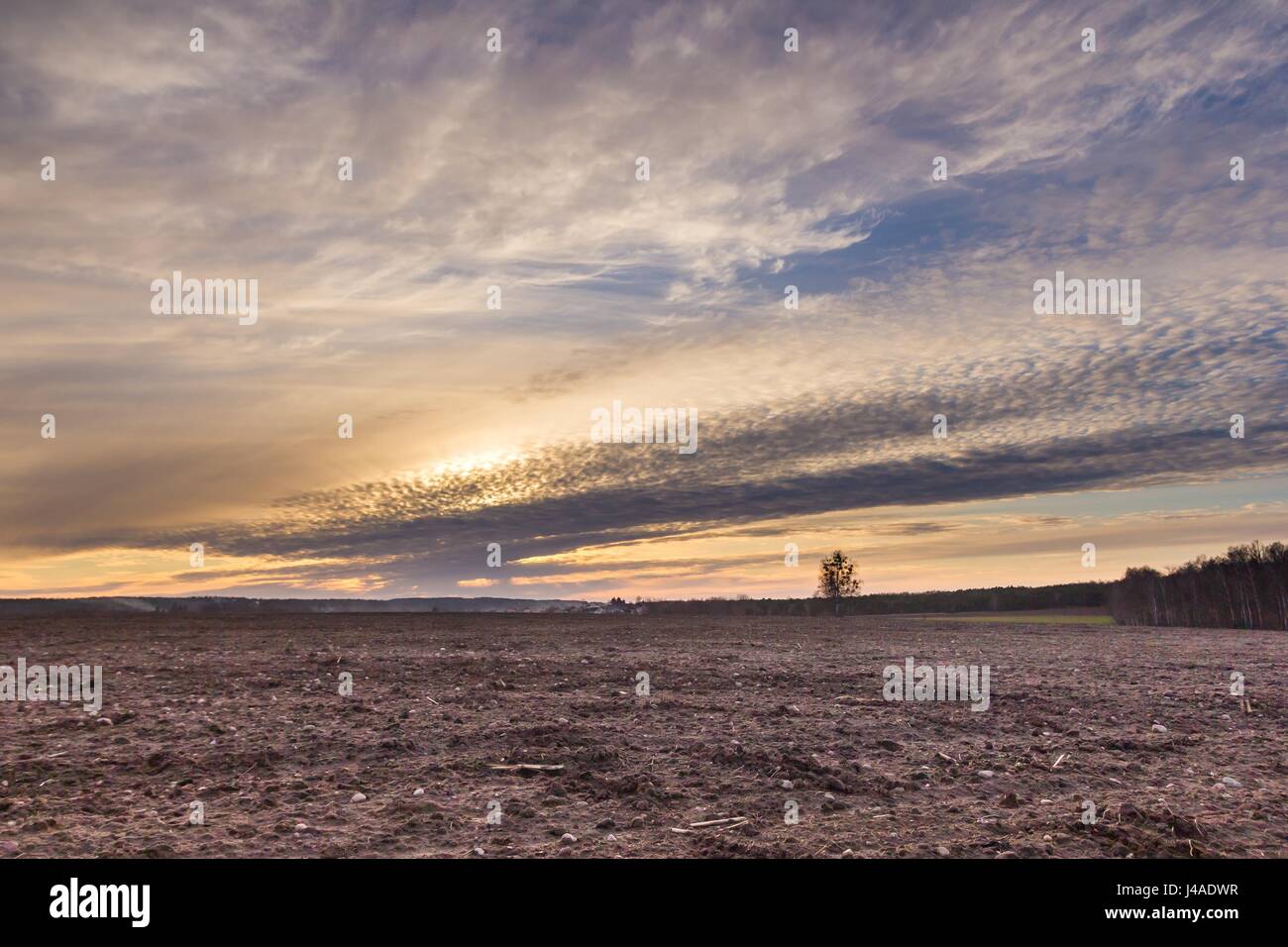 Beautiful colorful sunset sky over plowed field in springtime. Calm ...