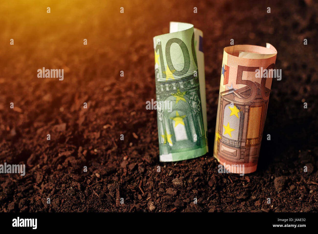 Money crops hi-res stock photography and images - Alamy