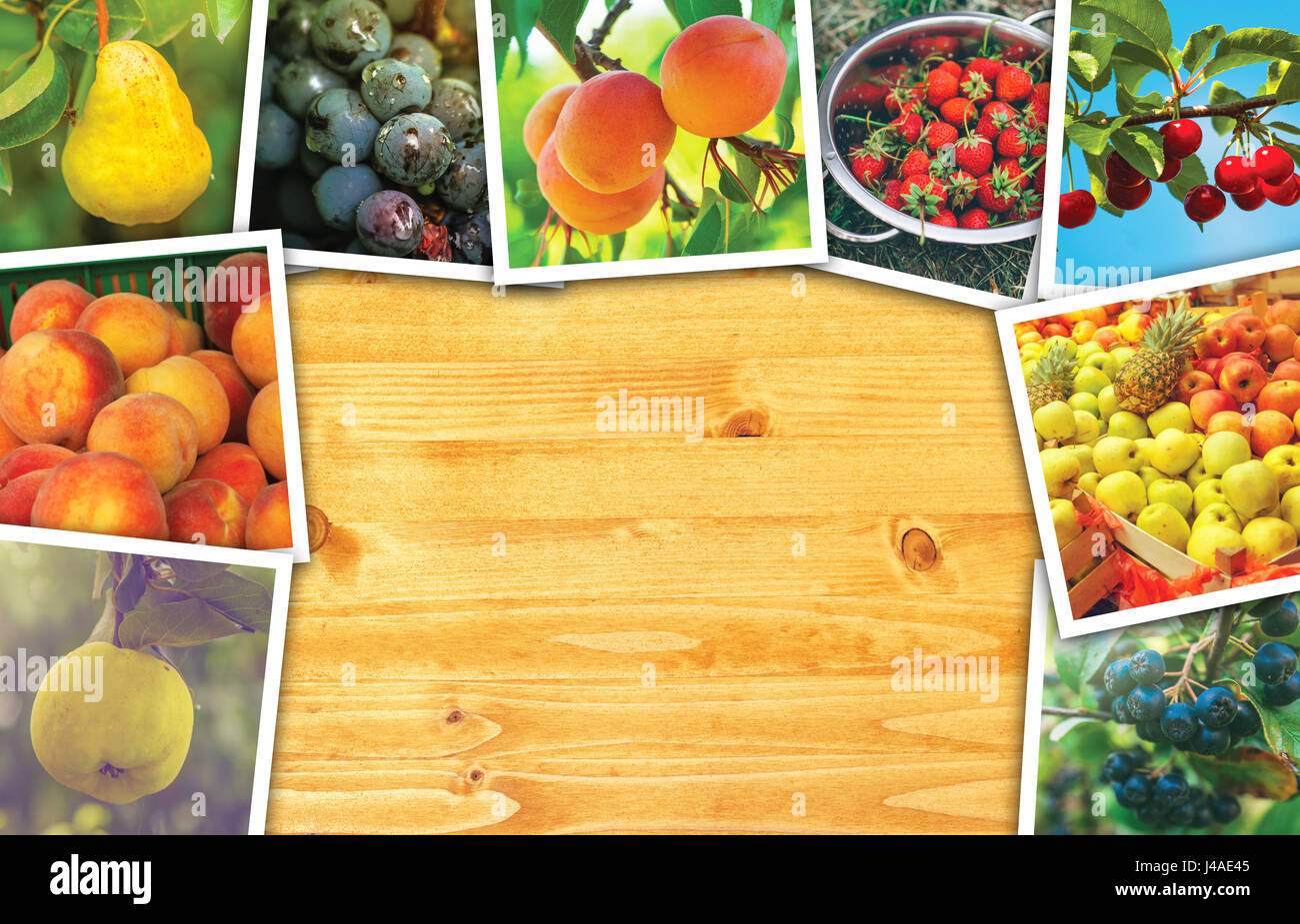 Fruit production hi-res stock photography and images - Alamy