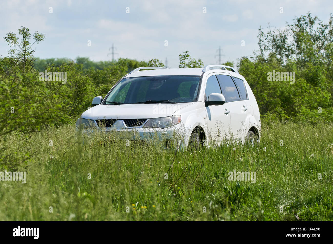 Four wheel drive car in the forest among bushes Stock Photo - Alamy
