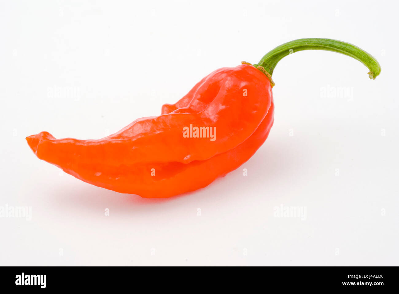 Bhut jolokia Chili Stock Photo - Alamy