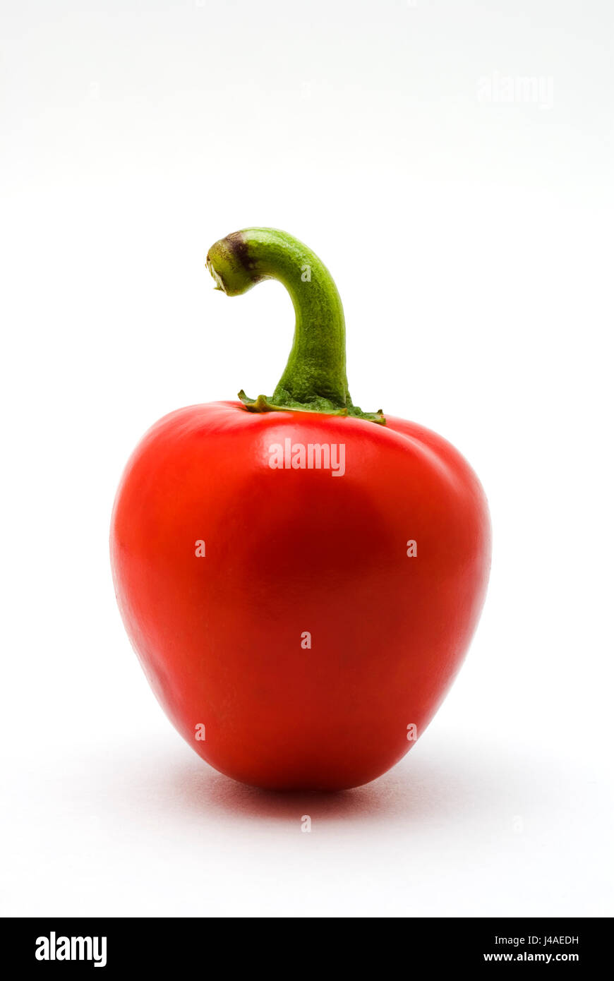 Cherry bomb chillies hi-res stock photography and images - Alamy
