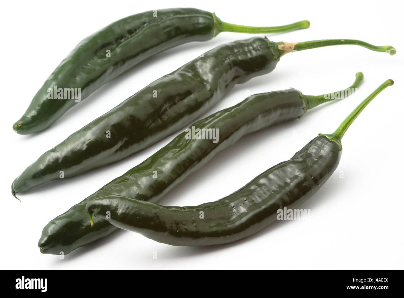 Chilaca Chilli Stock Photo, Royalty Free Image: 140372456 - Alamy
