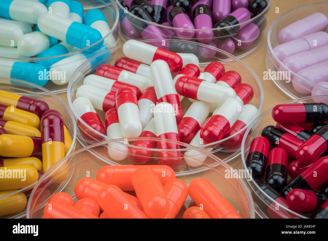 contrast Diverse capsules of different colors of the disks from Petri ...