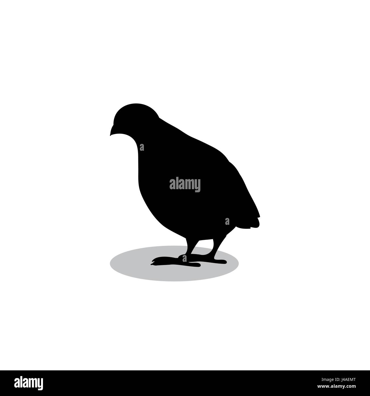 Partridge hunt Stock Vector Images - Alamy