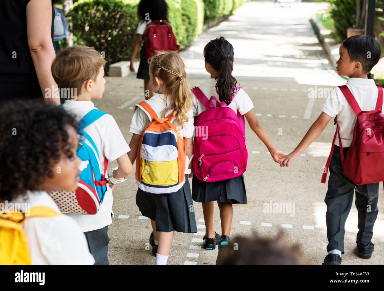 Group of diverse kindergarten students standing holding hands together ...