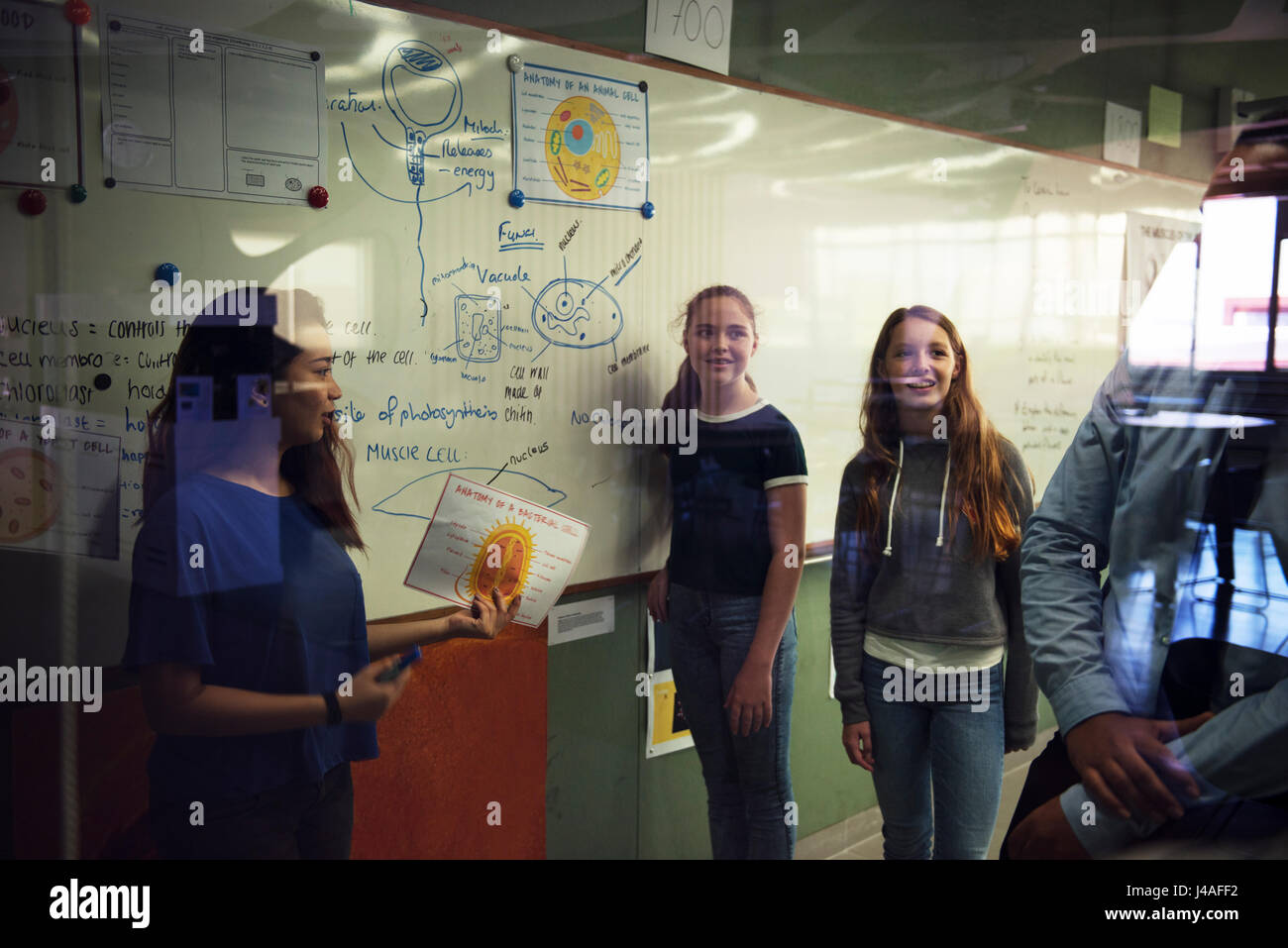 Group students presentation classroom hi-res stock photography and ...