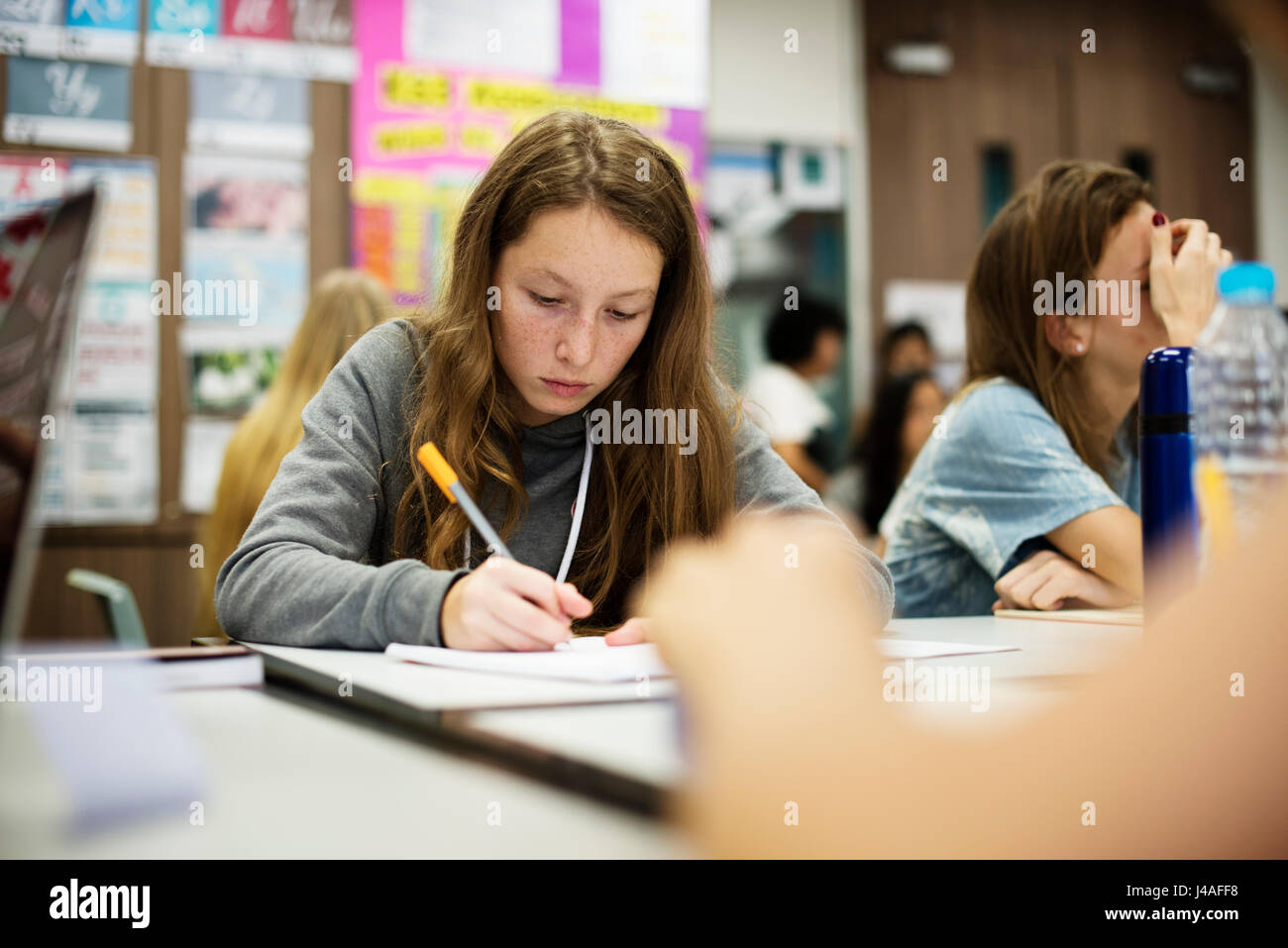 Group of students studying in the classroom Stock Photo - Alamy