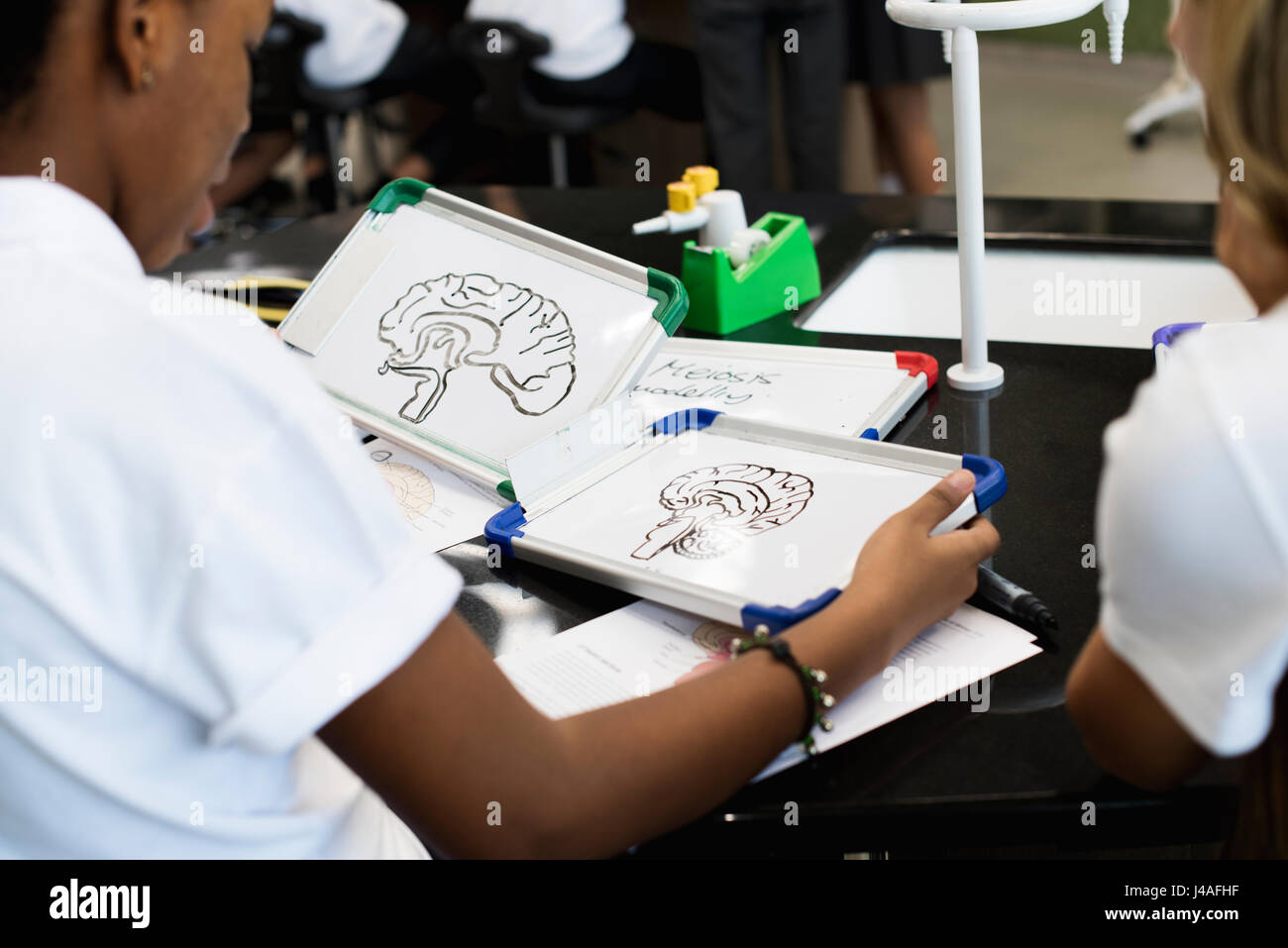 students learning biology classroom Stock Photo - Alamy