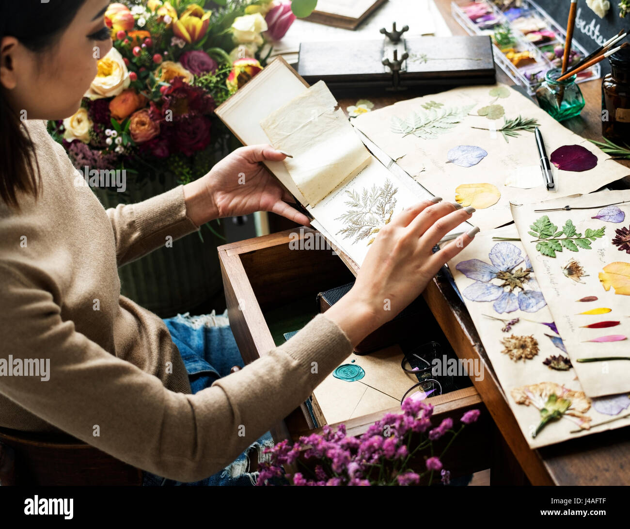 Hands Holding Dry Flowers Plants Collection Notebook Stock Photo - Alamy
