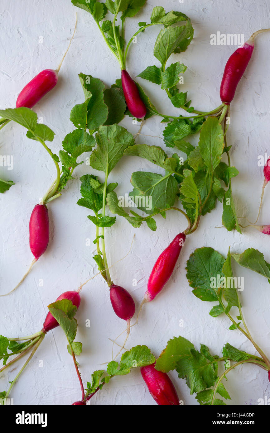 Long organic radishes Stock Photo - Alamy