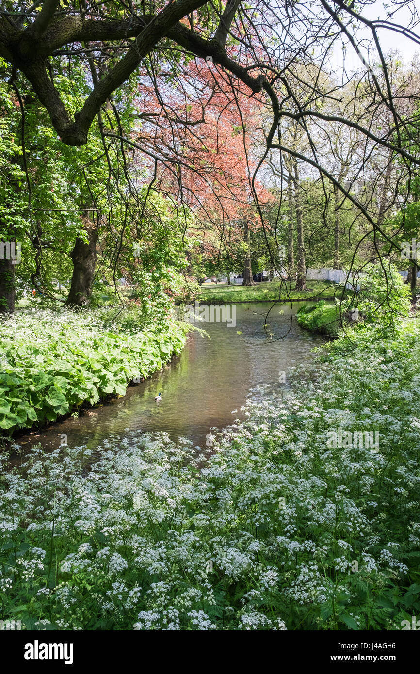 Het Park, Rotterdam, The Netherlands Stock Photo - Alamy