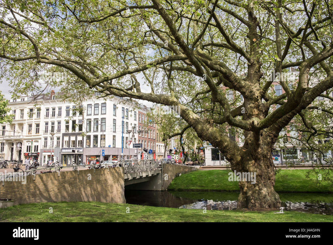 Street scene at intersecton of Westersingel and Witte De Withstraat ...