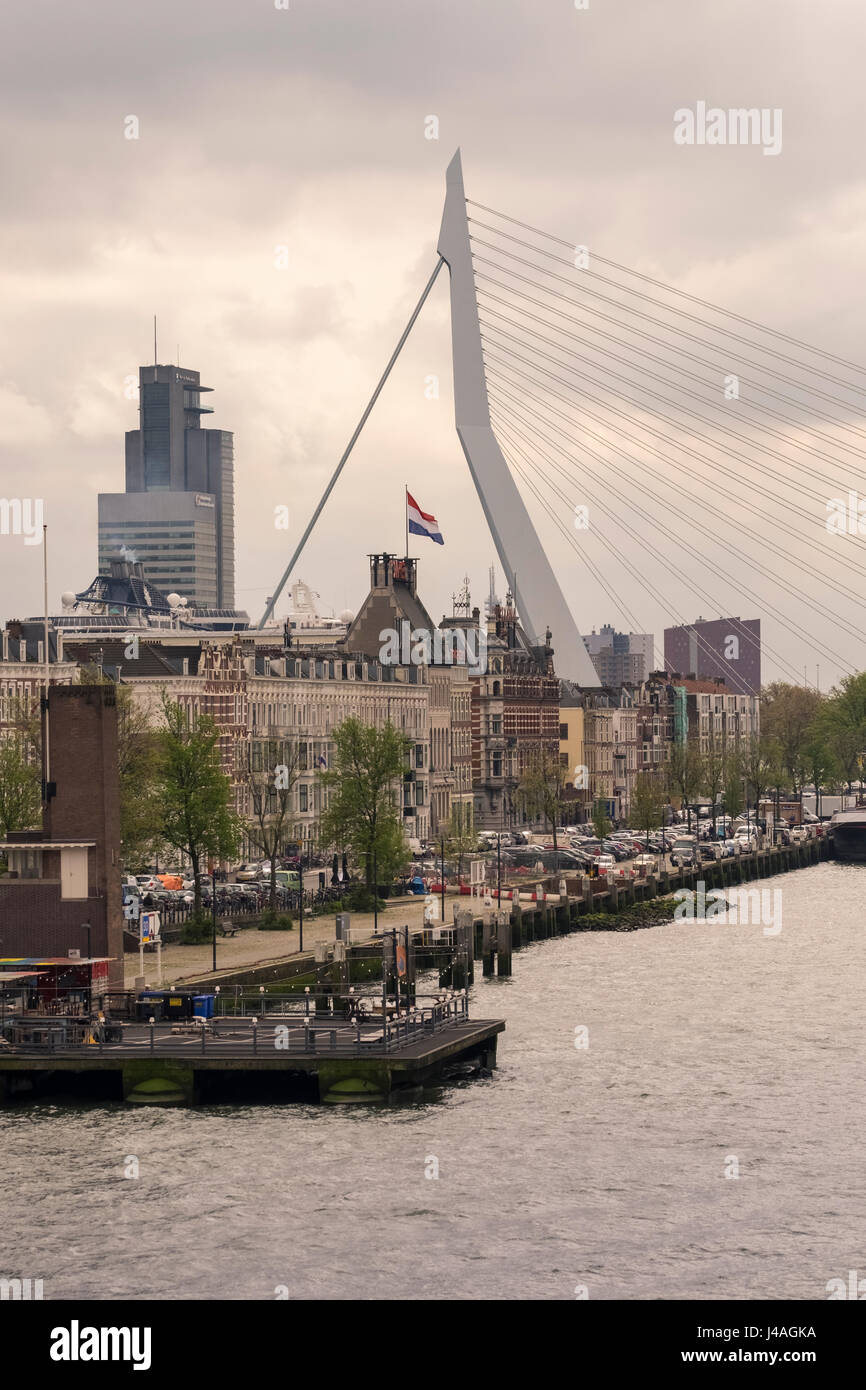 Erasmusbrug (Erasmus Bridge) and Katendrecht region, Rotterdam, The ...