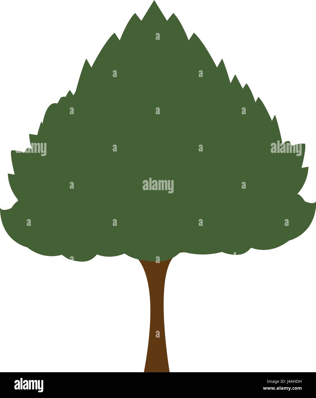 green tree natural forest design Stock Vector Image & Art - Alamy