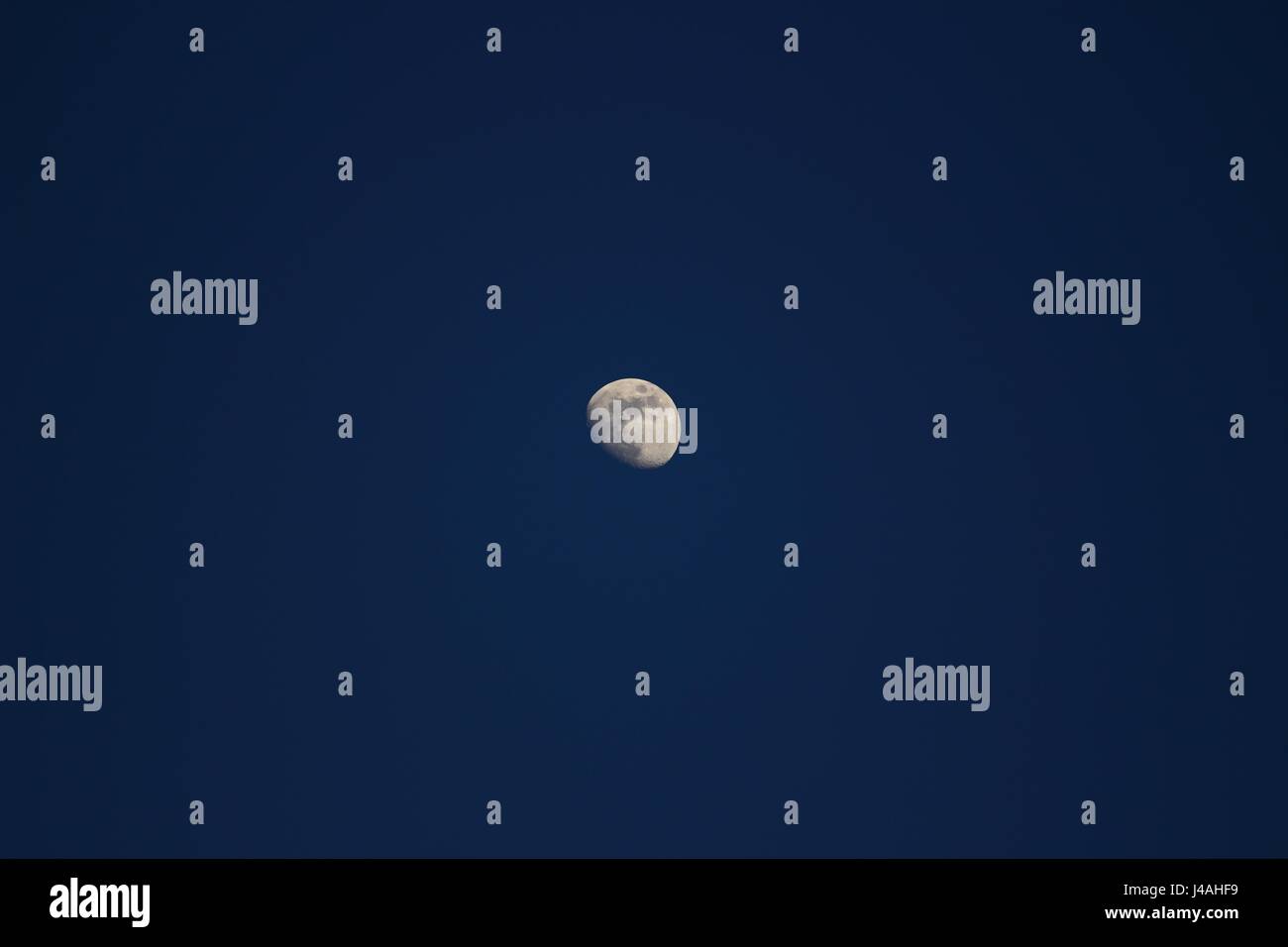 Moin at twilight hi-res stock photography and images - Alamy