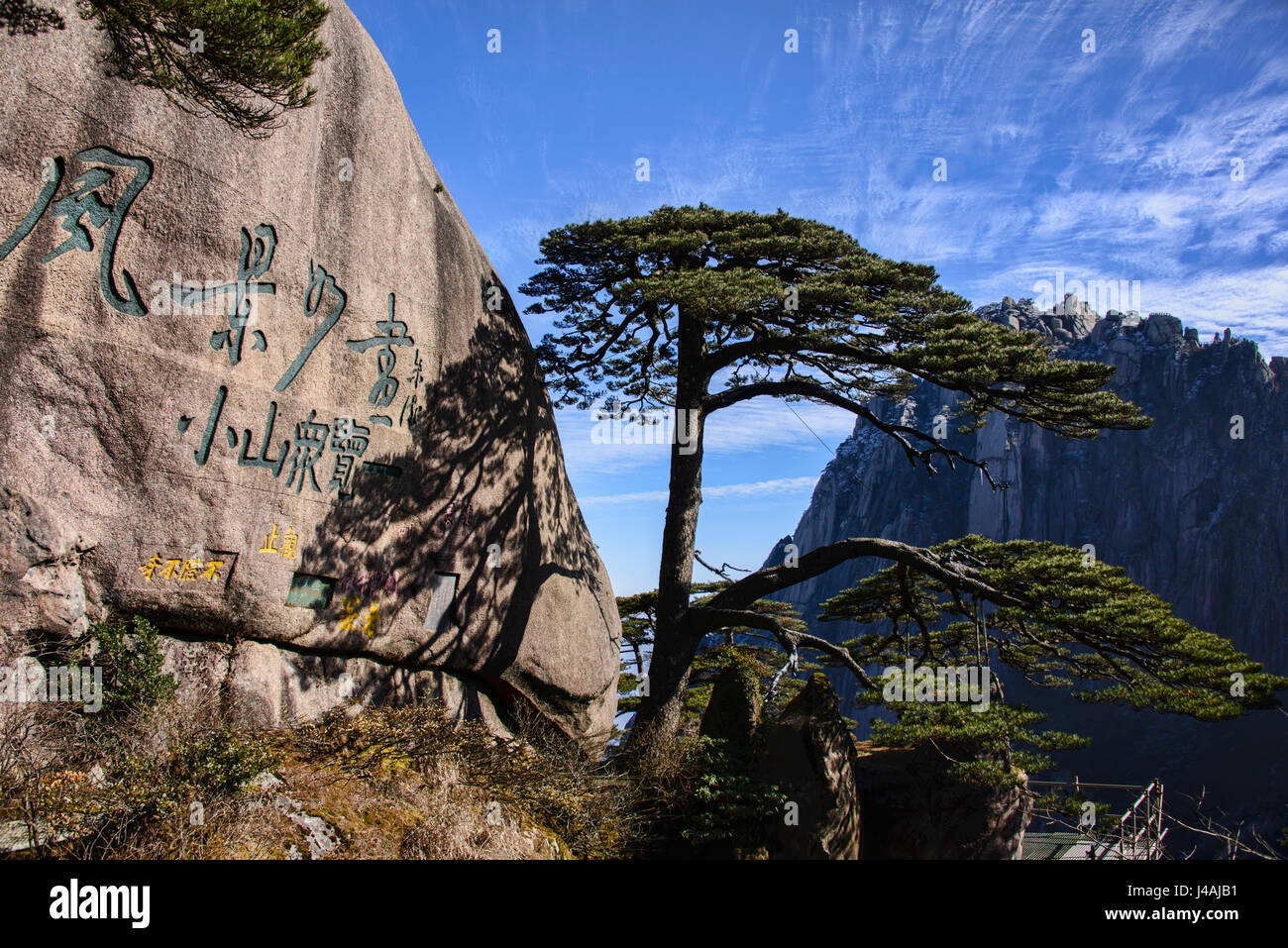 Huangshan pine hi-res stock photography and images - Alamy