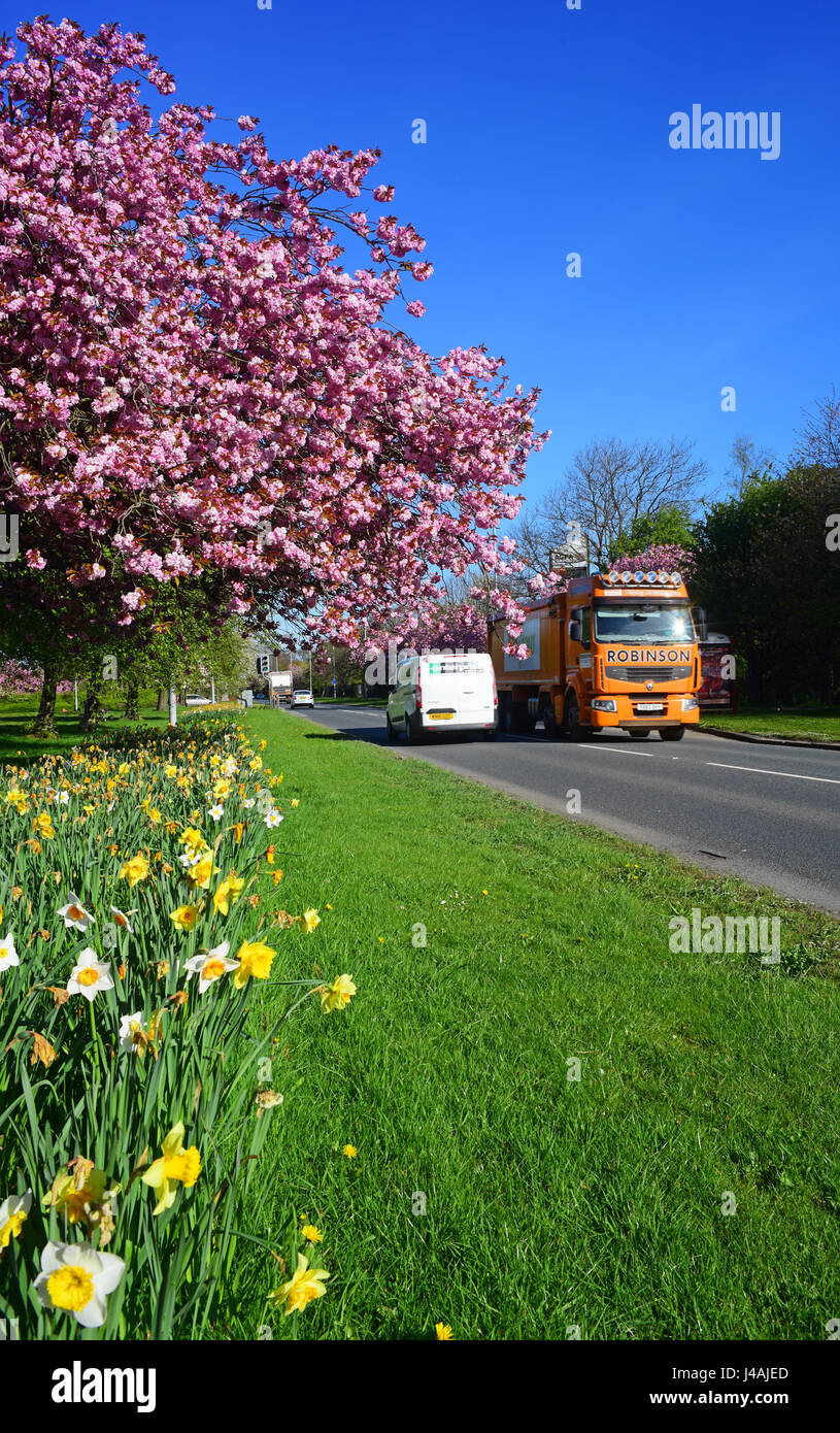 Lorry with trees hi-res stock photography and images - Alamy