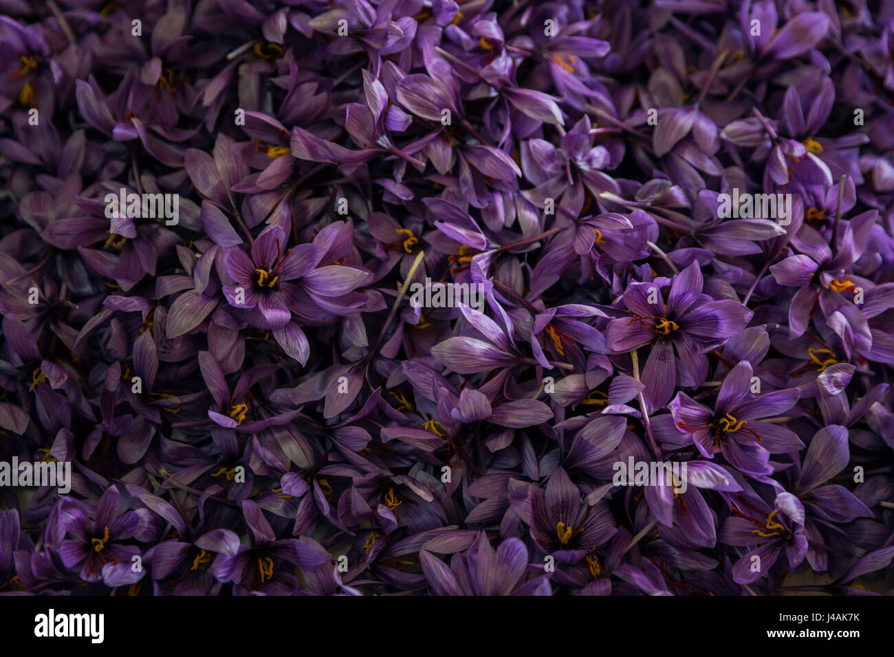 A basket rose saffron ready to be peeled Stock Photo - Alamy