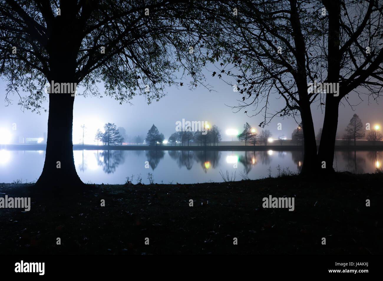 Light passing through misty fog reflects on a pond while back-lighting ...