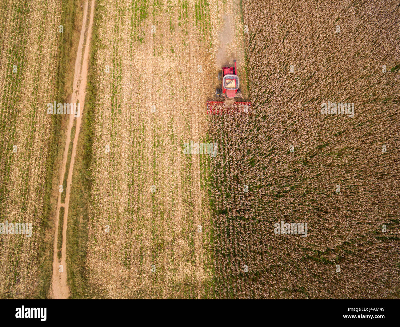 Maize crop commercial agriculture zimbabwe hi-res stock photography and ...