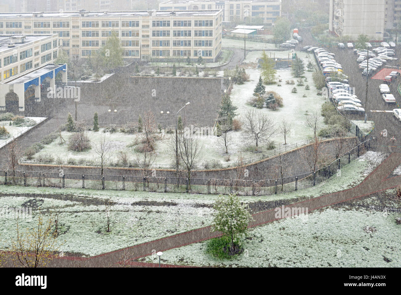 Snowfall and blizzard in middle of May. Spring.Moscow, Russia Stock ...