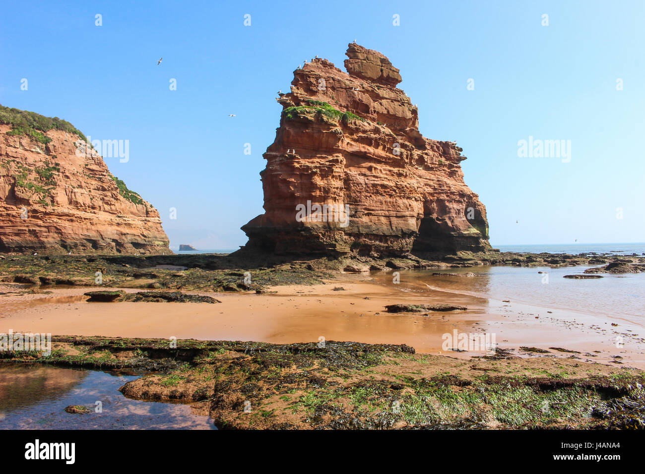 Coastal erosion sea stack hi-res stock photography and images - Alamy