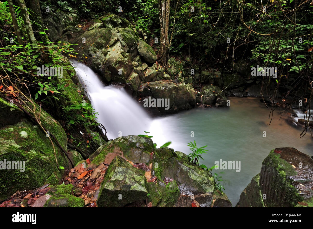 Borneo waterfall hi-res stock photography and images - Alamy