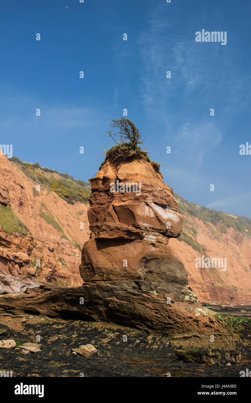 Sea stack devon hi-res stock photography and images - Alamy