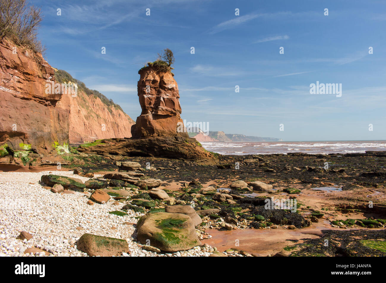Sea stack devon hi-res stock photography and images - Alamy