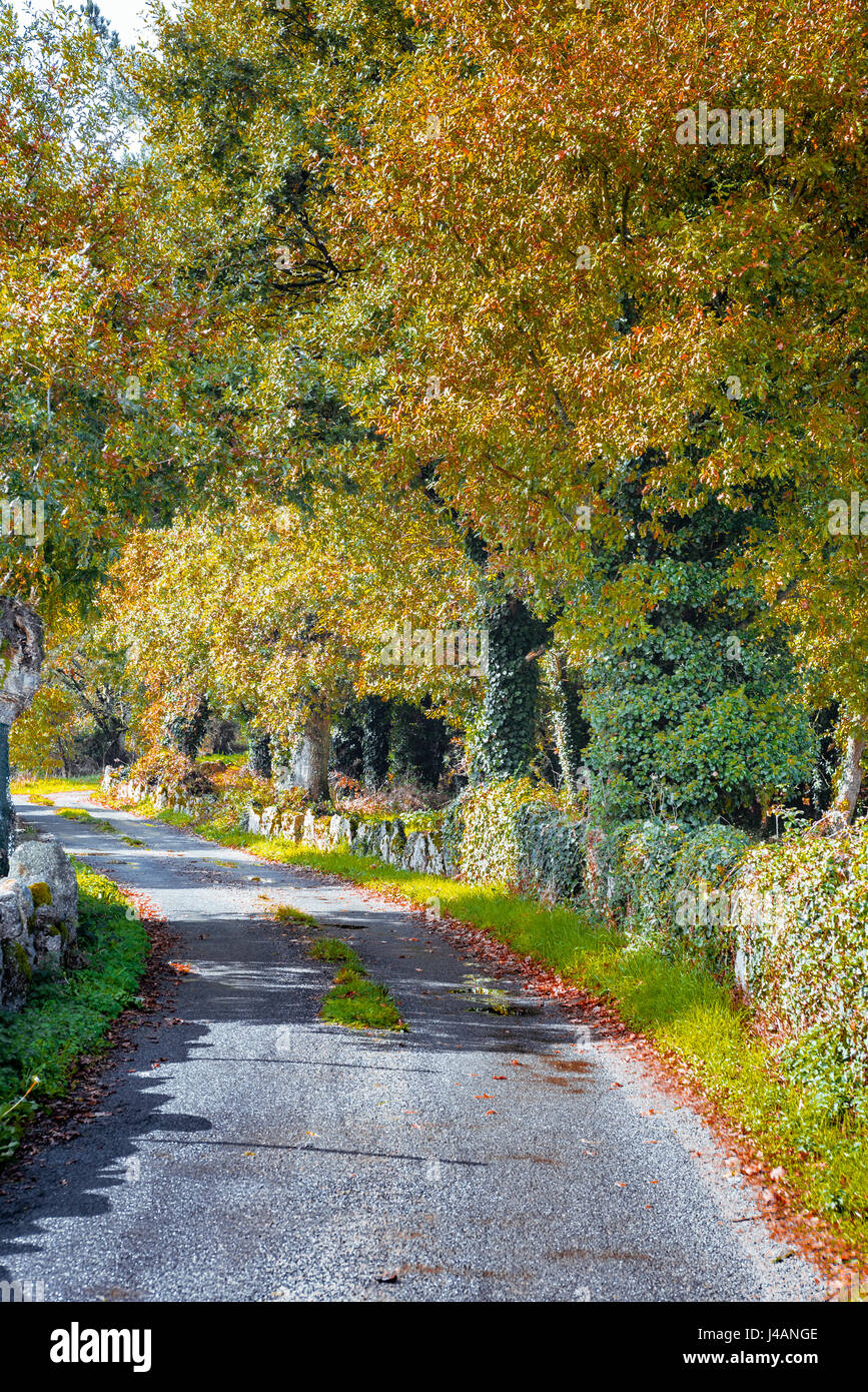 Santa maria de muxa hi-res stock photography and images - Alamy