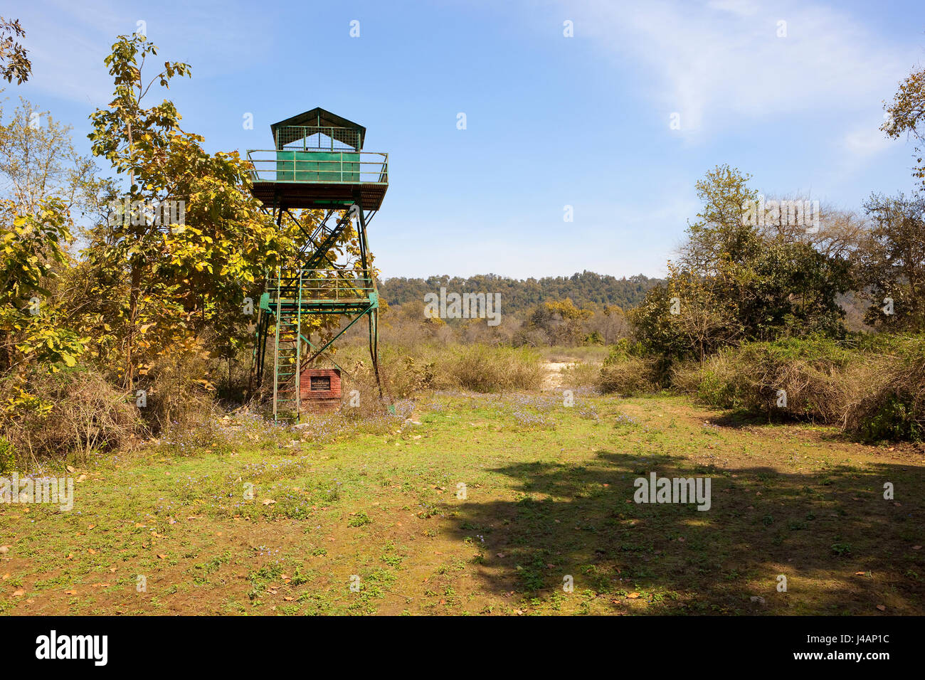 a blue metal viewing platform and watchtower in the nature reserve of ...