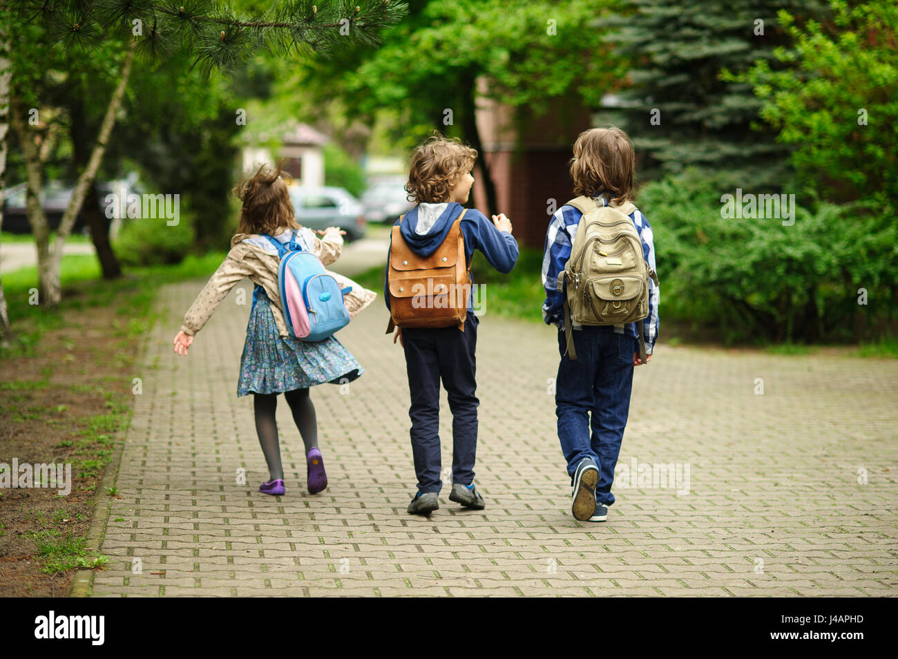 Little school students hurry on occupations. Behind shoulders at ...