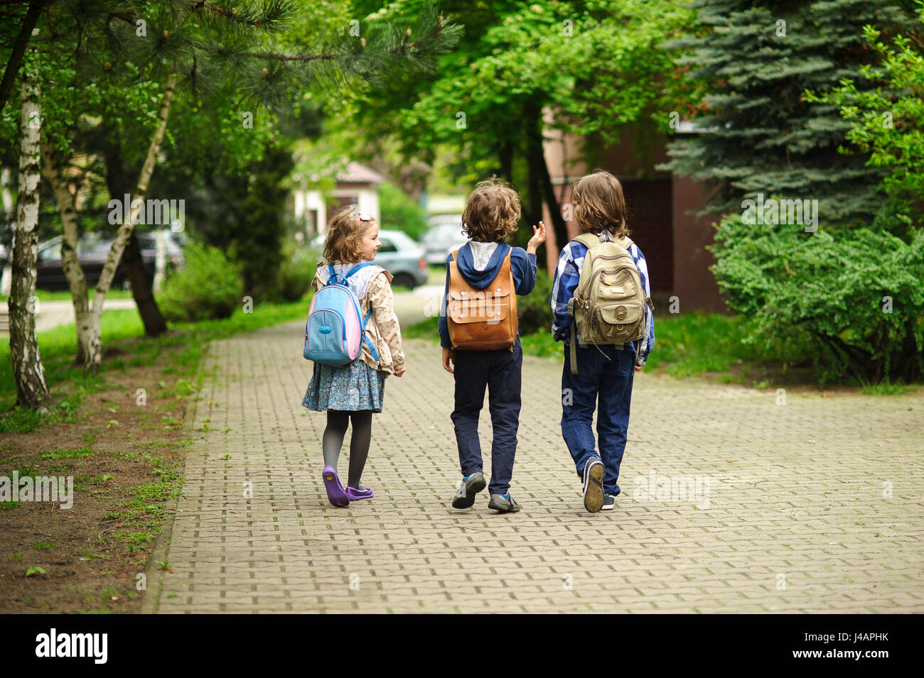 Little school students hurry on occupations. Behind shoulders at ...