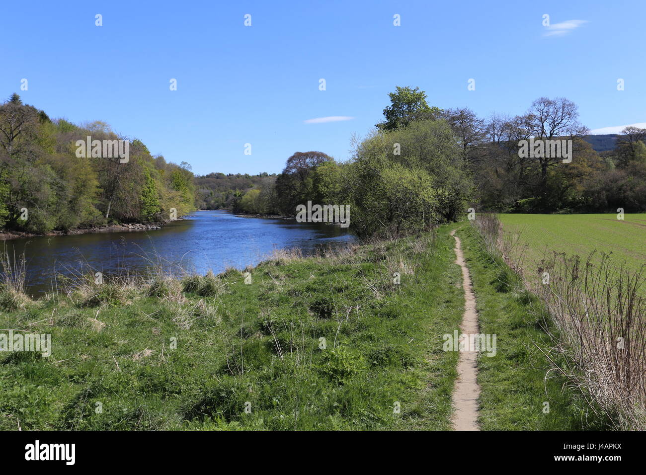 Rob Roy Way beside River Tay Scotland May 2017 Stock Photo - Alamy