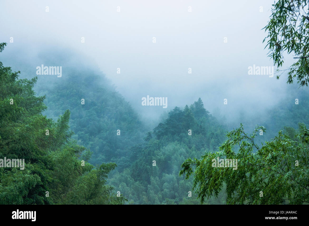 Beautiful mountains scenery in the mist Stock Photo - Alamy