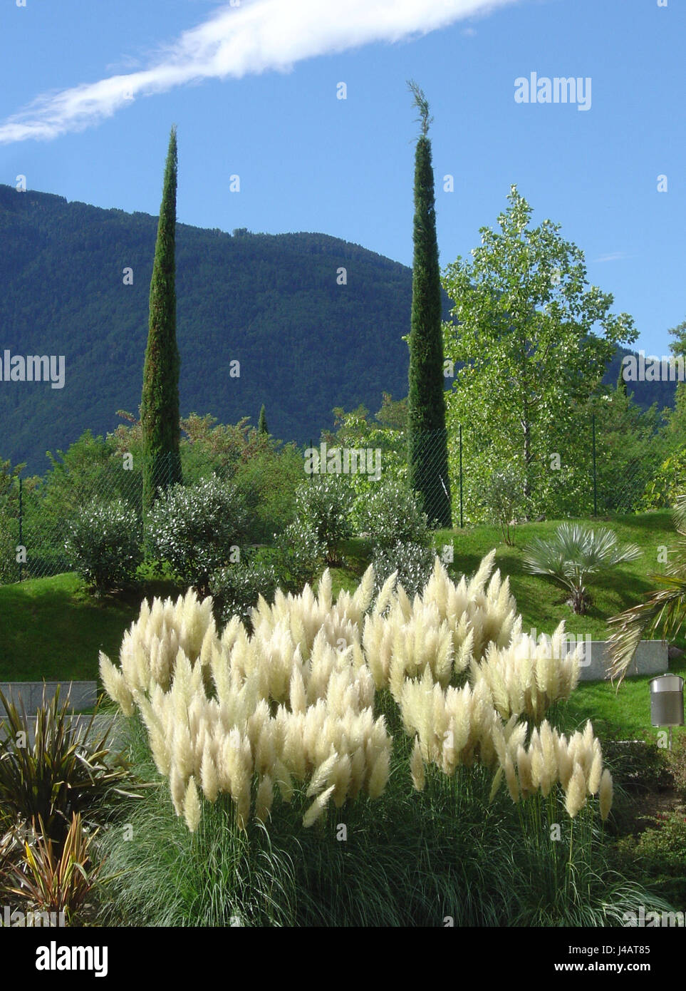 shine shines bright lucent light serene luminous holiday vacation ...