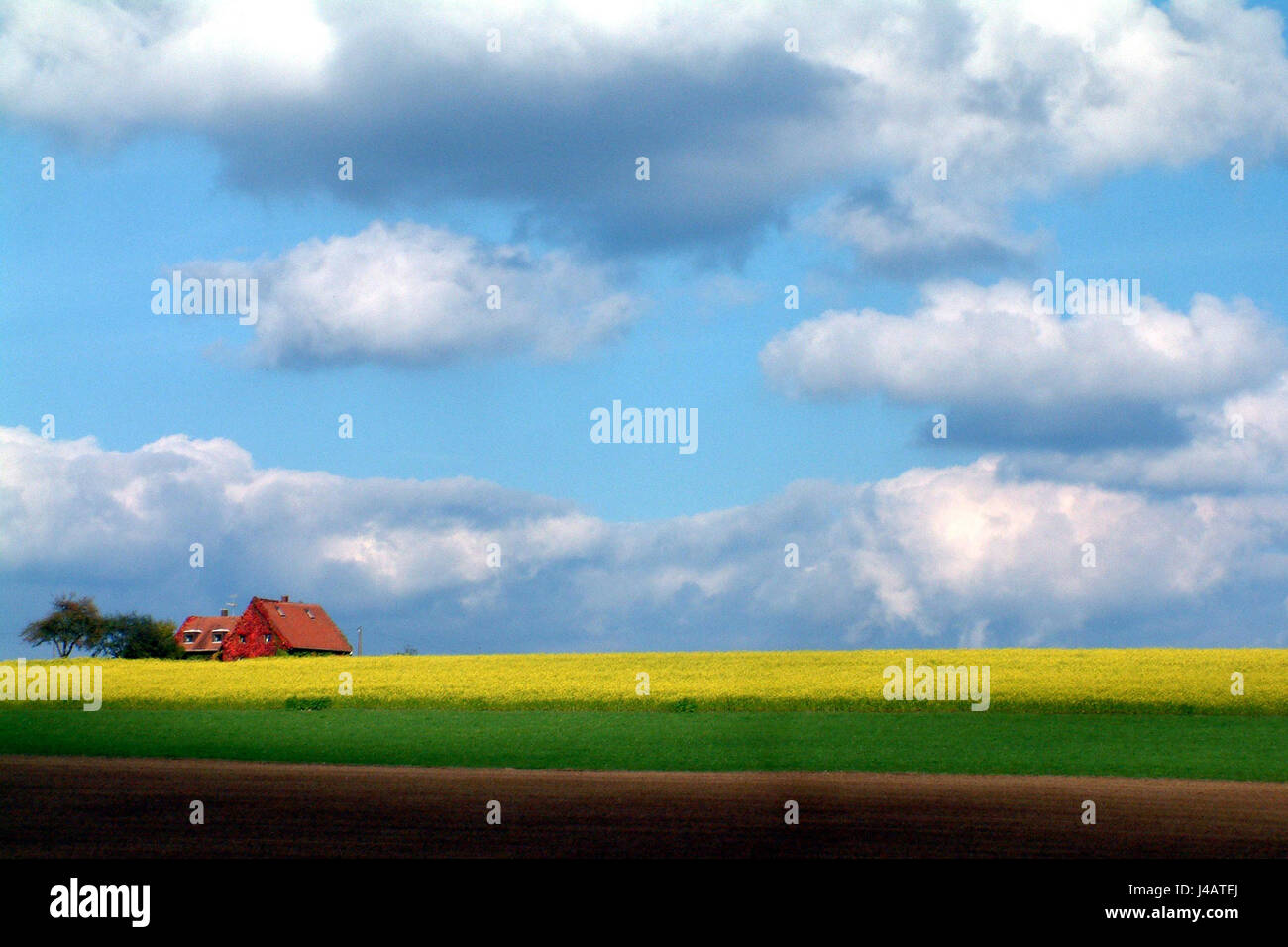Freiamt hi-res stock photography and images - Alamy