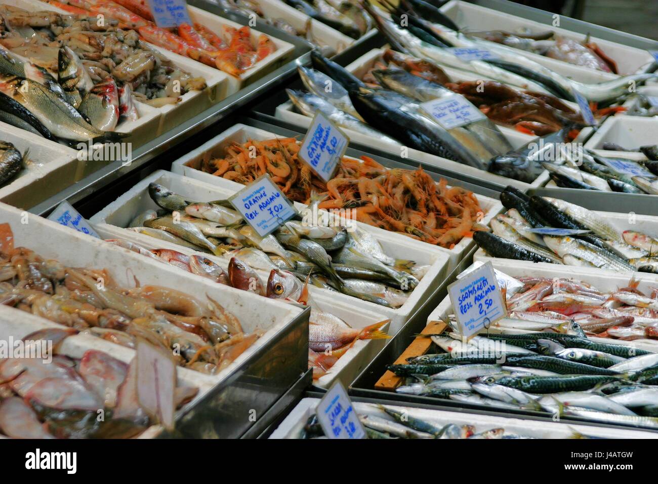 Bologna fish market hi-res stock photography and images - Alamy