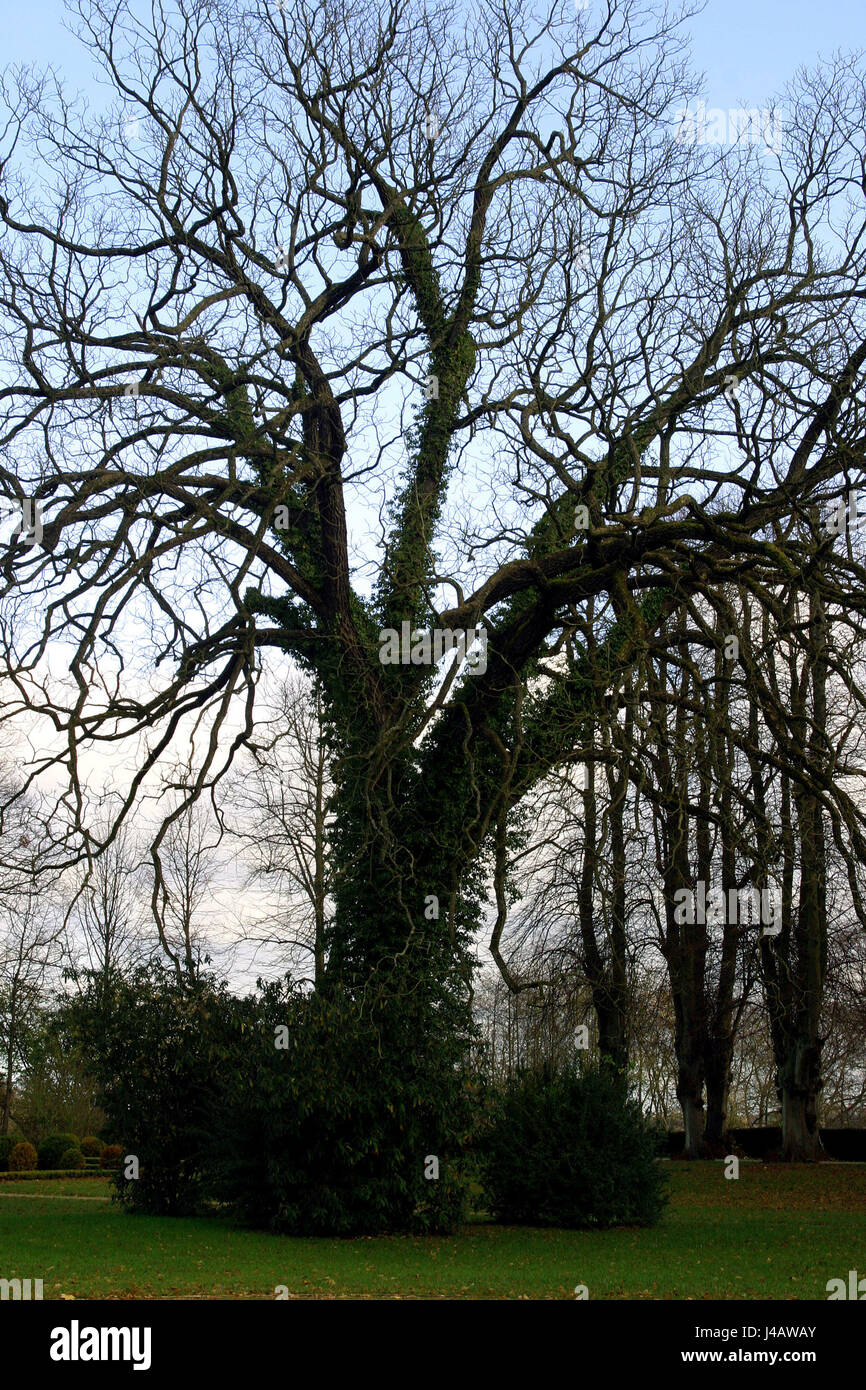 Weiser hi-res stock photography and images - Alamy