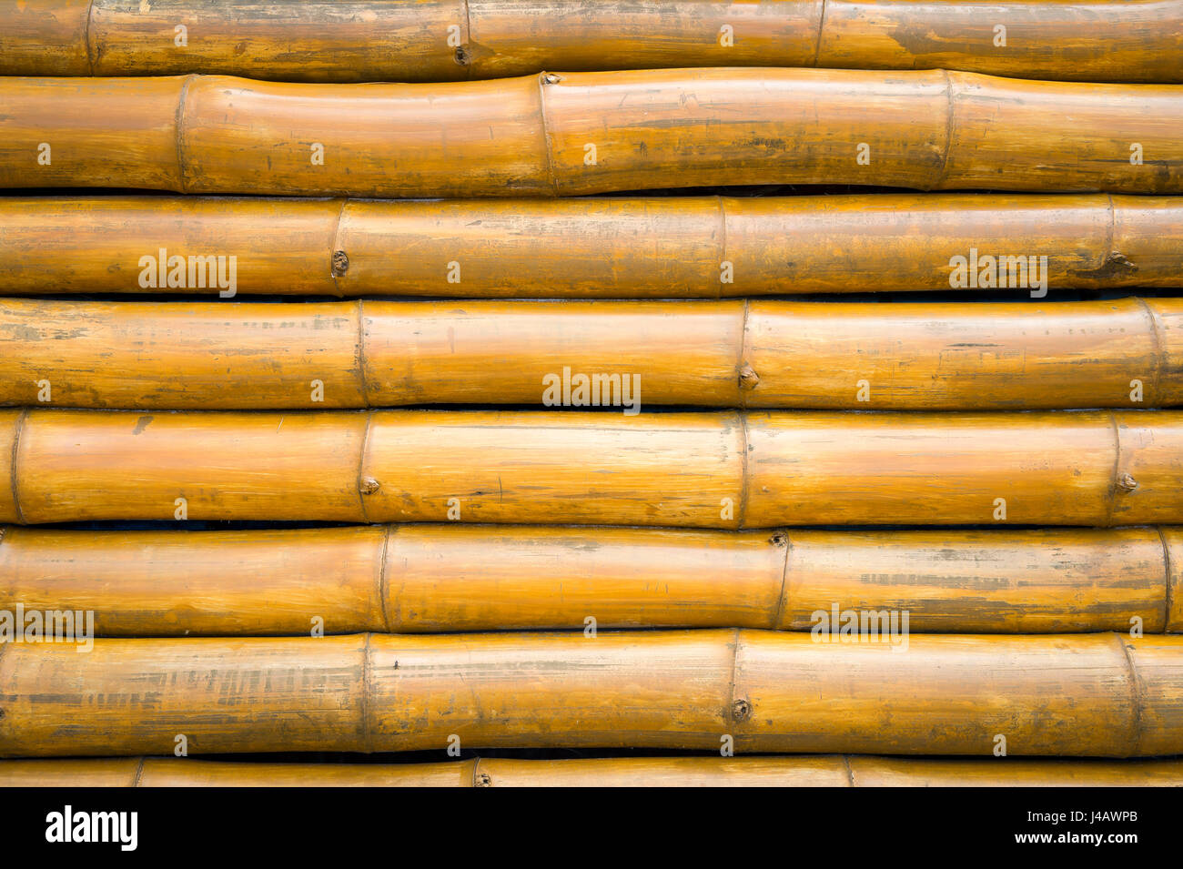 Bamboo trunks hi-res stock photography and images - Alamy