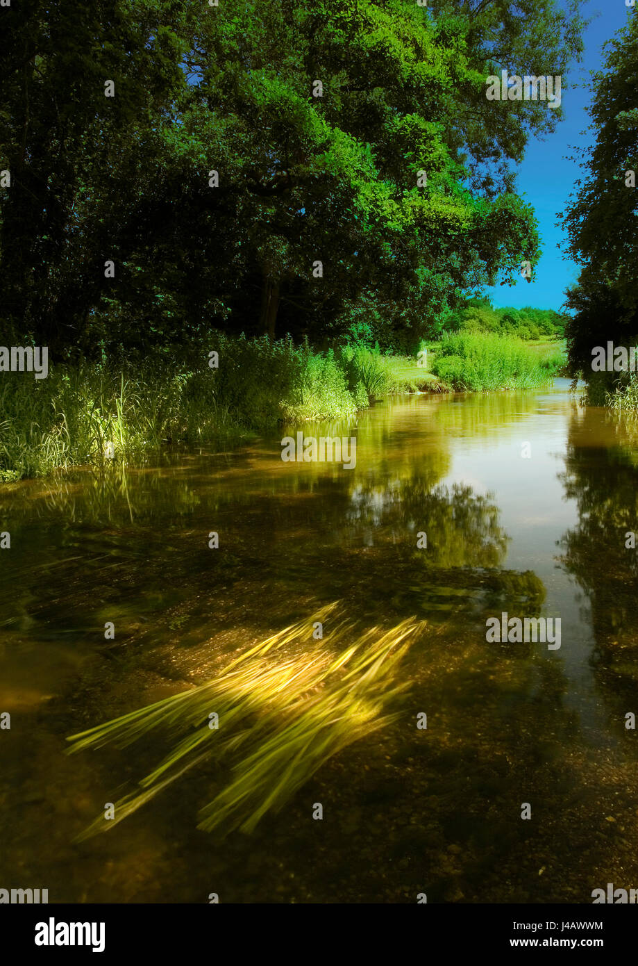 An English chalk stream Stock Photo - Alamy