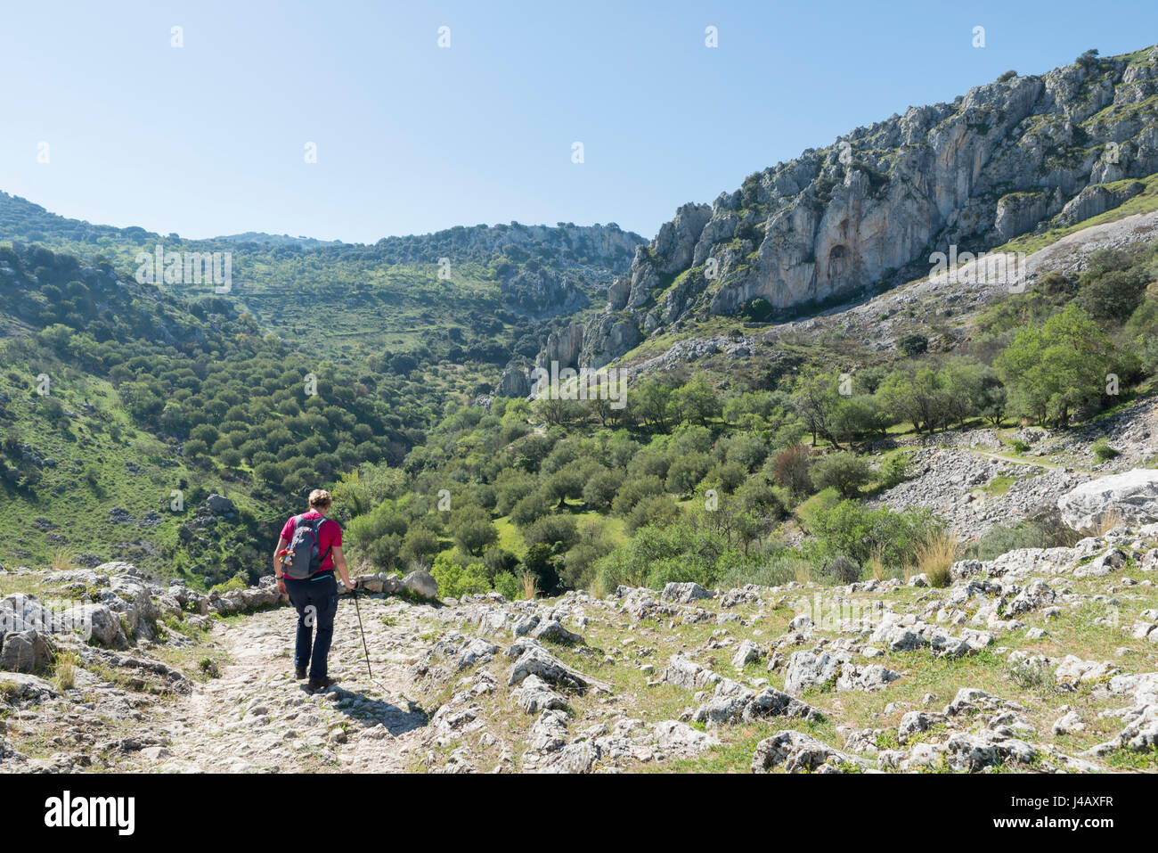 A mature woman busy on a mountain walk with backpack in the spanish ...
