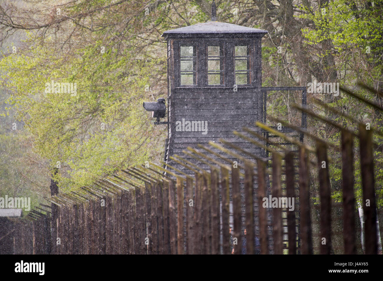 Wooden guard tower in Museum of Stutthof in Sztutowo, Poland. Today is ...