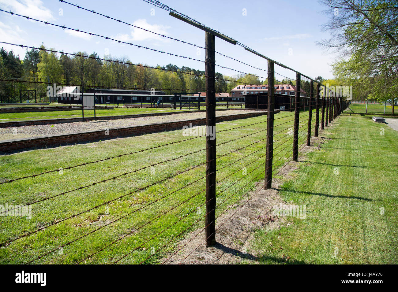 Old camp and barbed wire in Nazi German concentration camp KL Stutthof ...