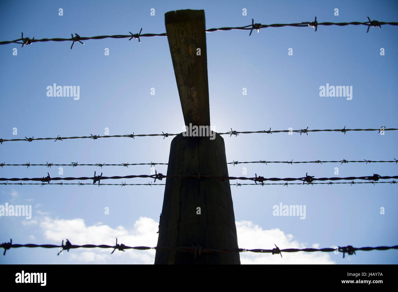 Barbed wire in Nazi German concentration camp KL Stutthof in 72 ...